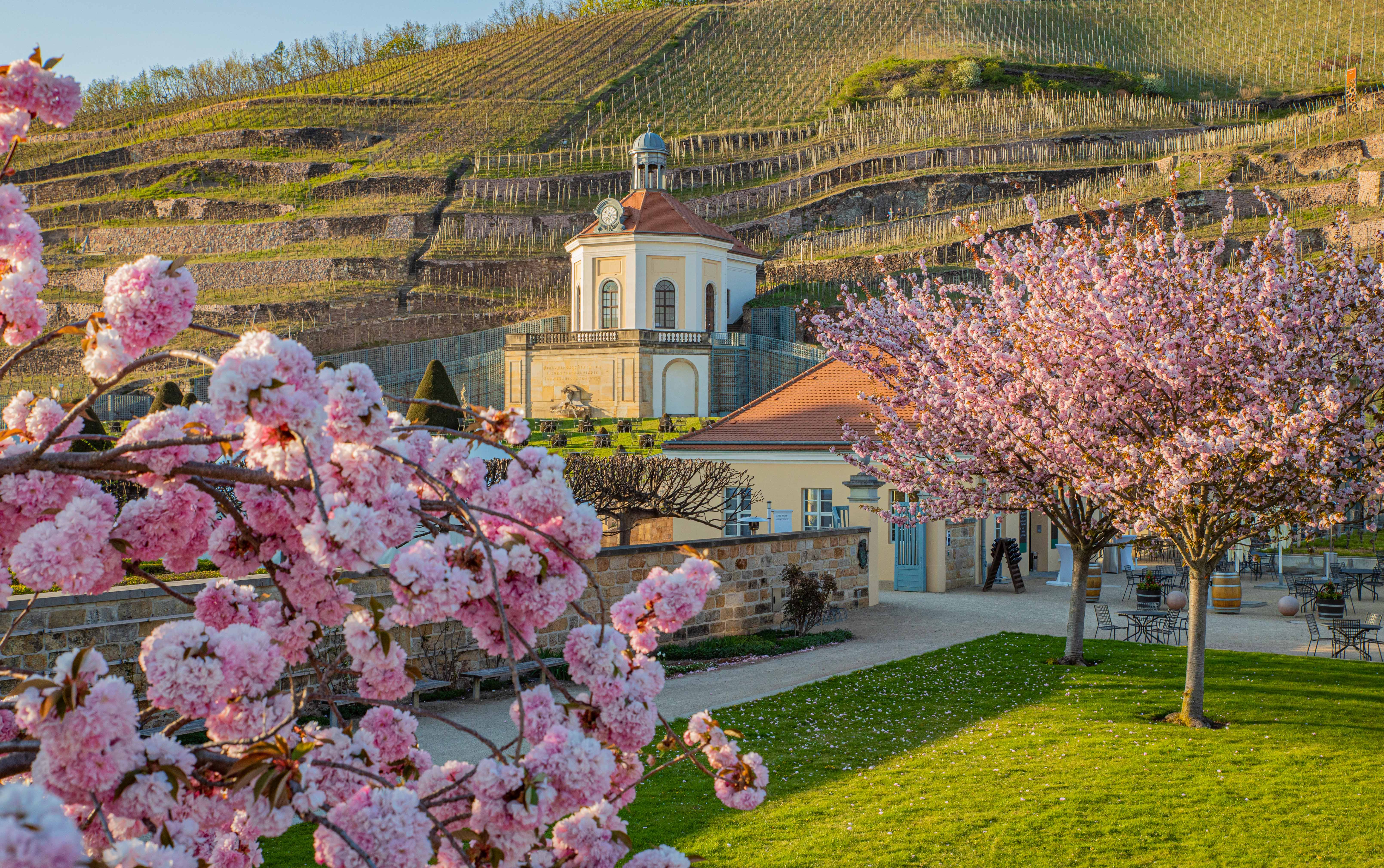 Prozkoumejte nejlepší hrady, zámky, parky a zahrady v Sasku